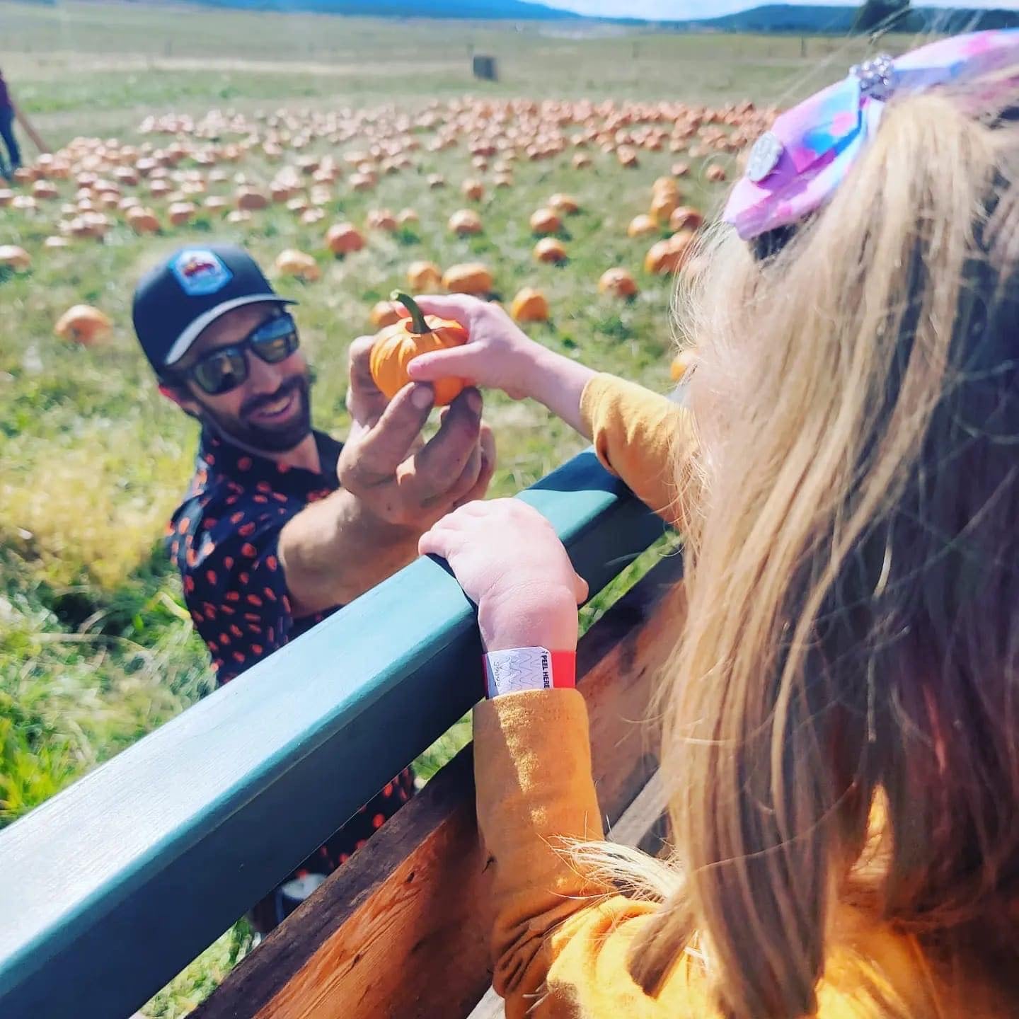 Pumpkin Facts – Jack-A-Lope Acres